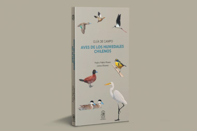 Ediciones UC: Aves de los humedales chilenos - UC Radio Beethoven